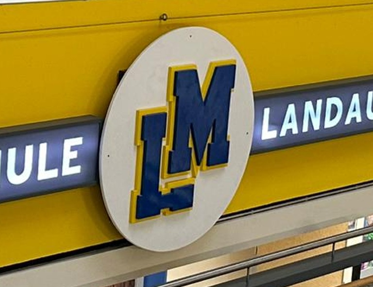 Logos - Mittelschule Landau an der Isar